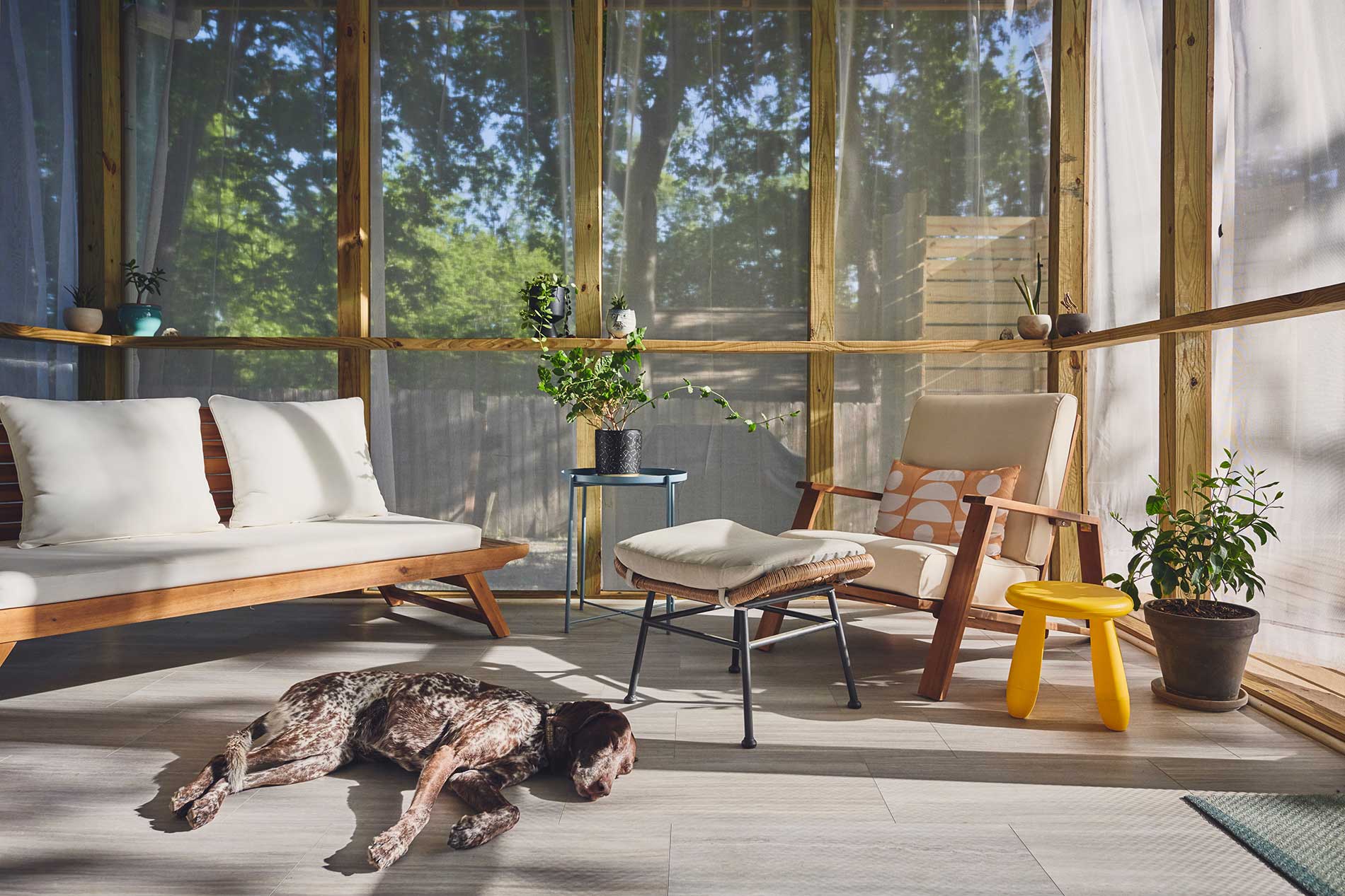 Wizard Screen Solutions for Your Home in Salmon Arm - Trademark Glassworks